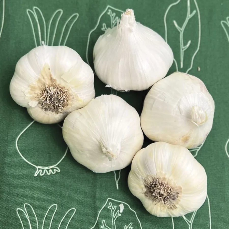 What Is A Bulb Of Garlic